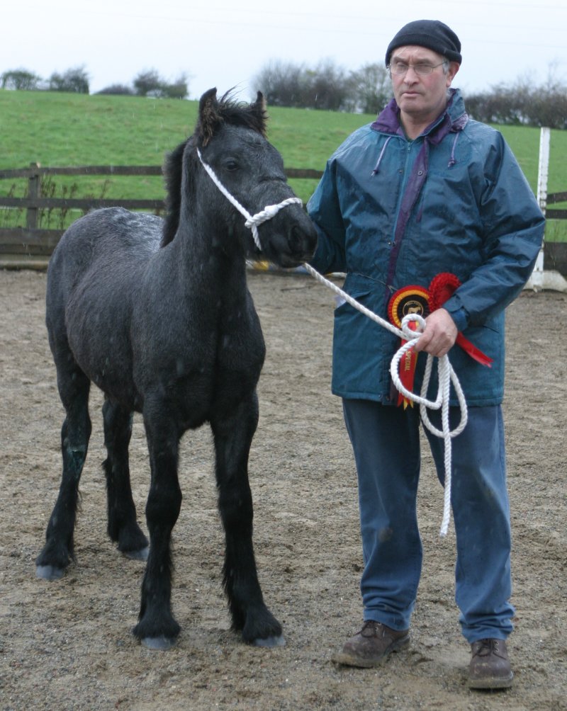 It was fortunate that the weather held fine for this year’s FPS North ...